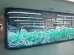 Transparent LED Screen: Types, Cost & Buying Guide - Ledtop Technology